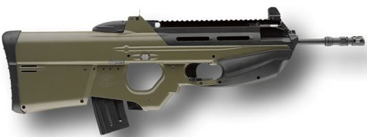 CombatRifle.net - Informational Resource and Reviews - FN FS2000